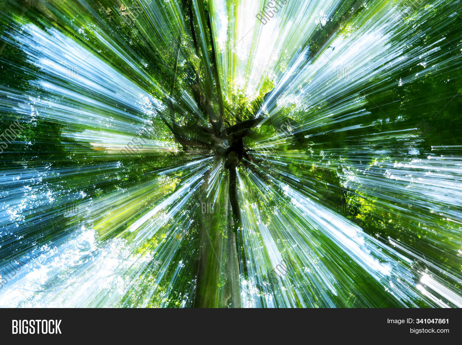 Abstract Green Forest Image & Photo (Free Trial) | Bigstock