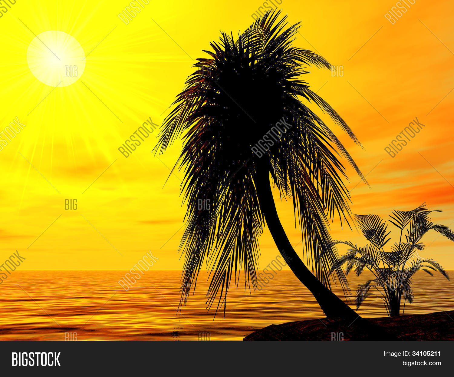 Single Palm On Image & Photo (Free Trial) | Bigstock