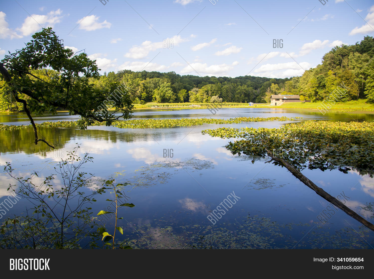 Perfect Blue Sky Day Image & Photo (Free Trial) | Bigstock