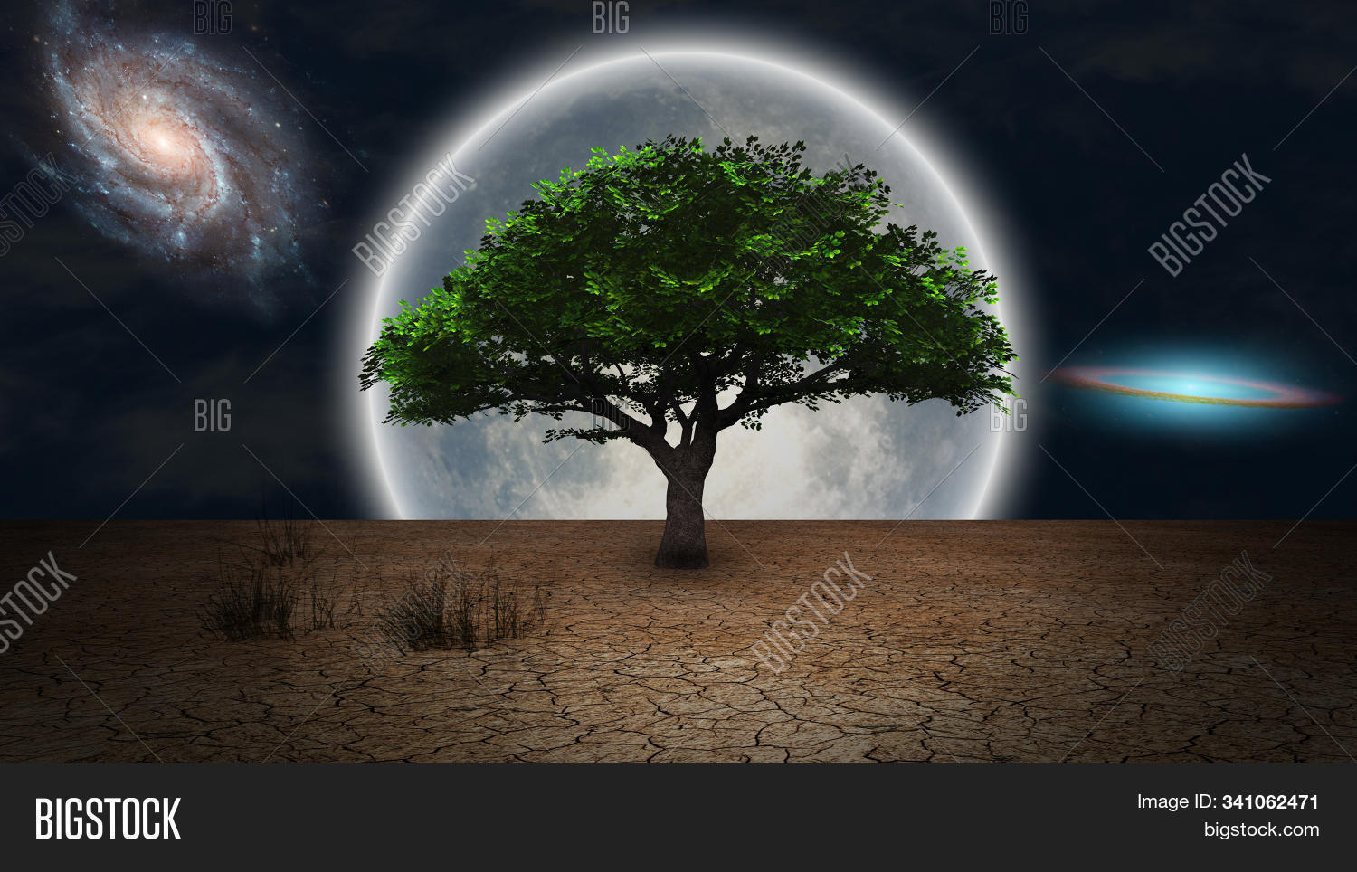 Surrealism. Green Tree Image & Photo (Free Trial) | Bigstock