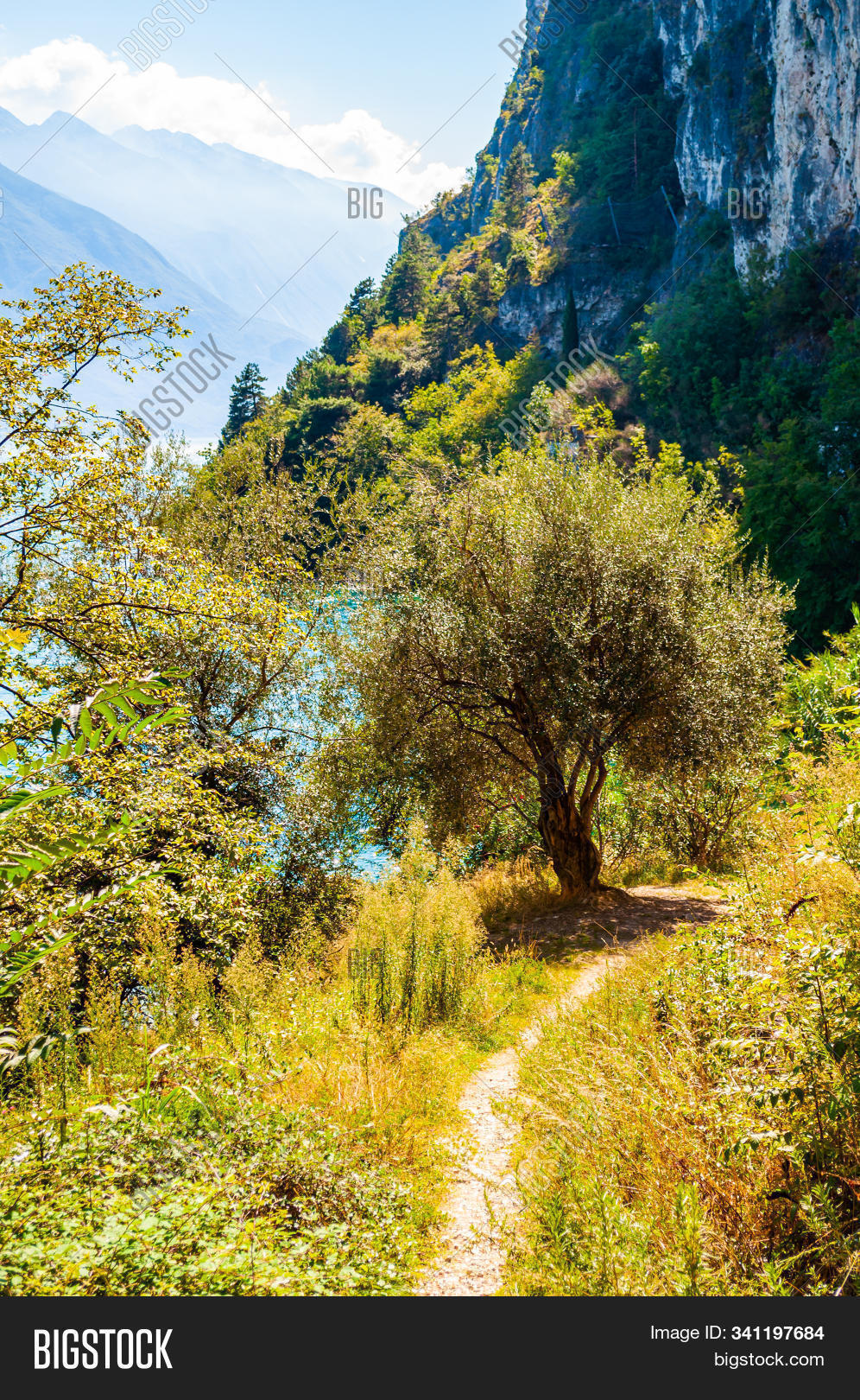 Scenic Pathway Leading Image & Photo (Free Trial) | Bigstock