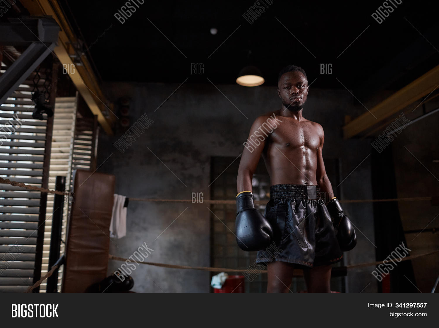 Portrait African Image & Photo (Free Trial) | Bigstock