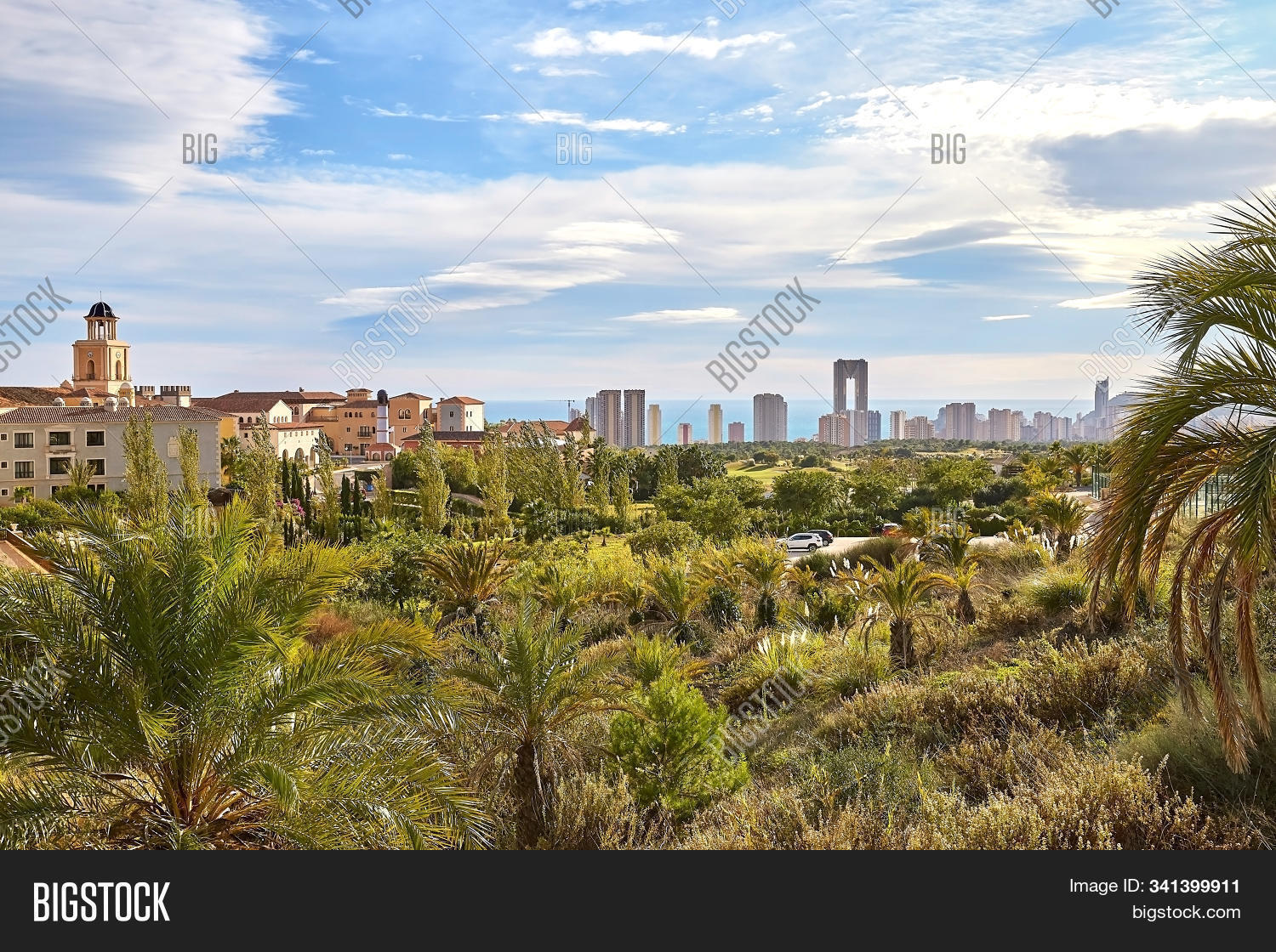 Panorama Benidorm Palm Image & Photo (Free Trial) | Bigstock