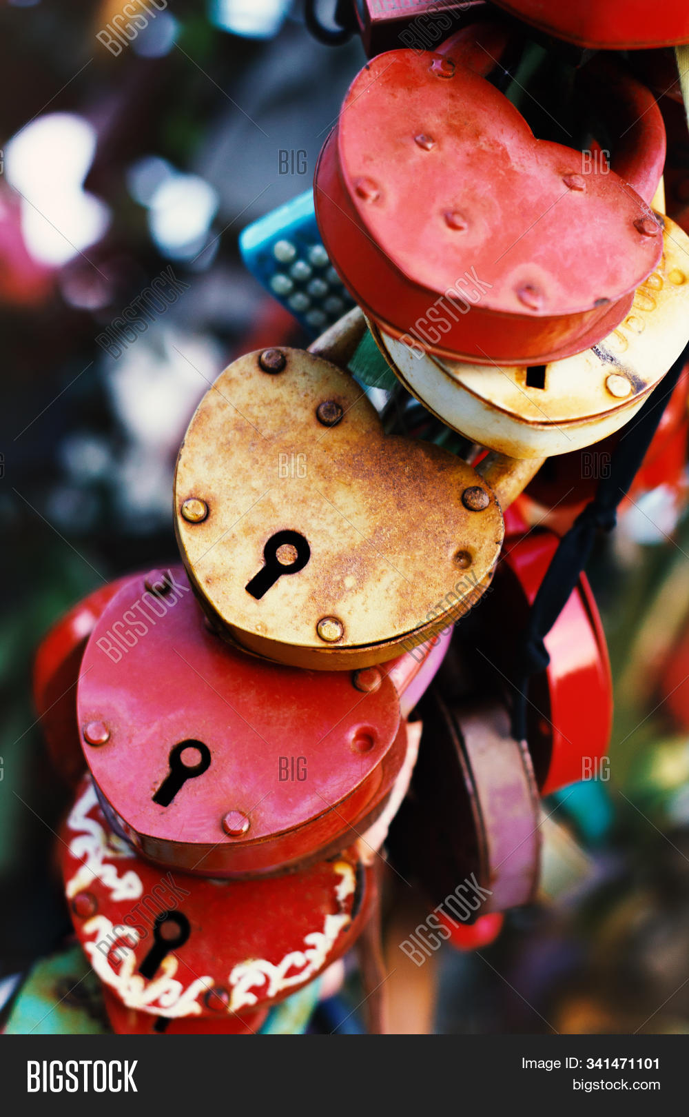 Metal Locks. Bunch Image & Photo (Free Trial) | Bigstock