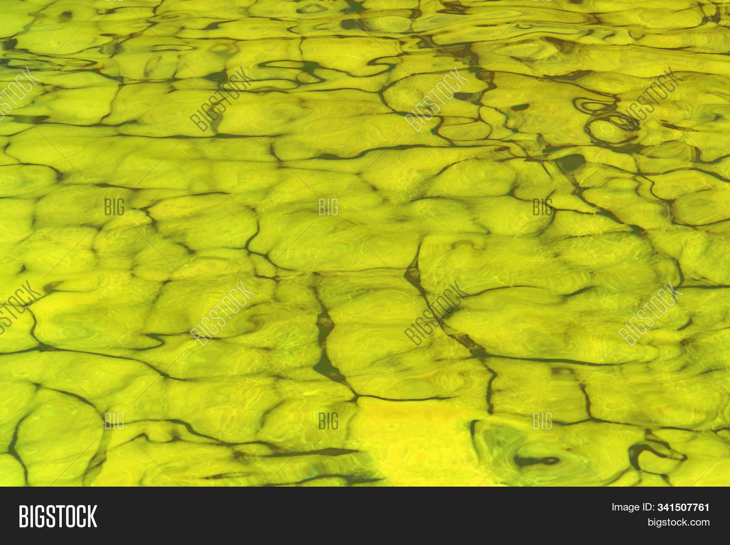 Surface Yellow Image & Photo (Free Trial) | Bigstock