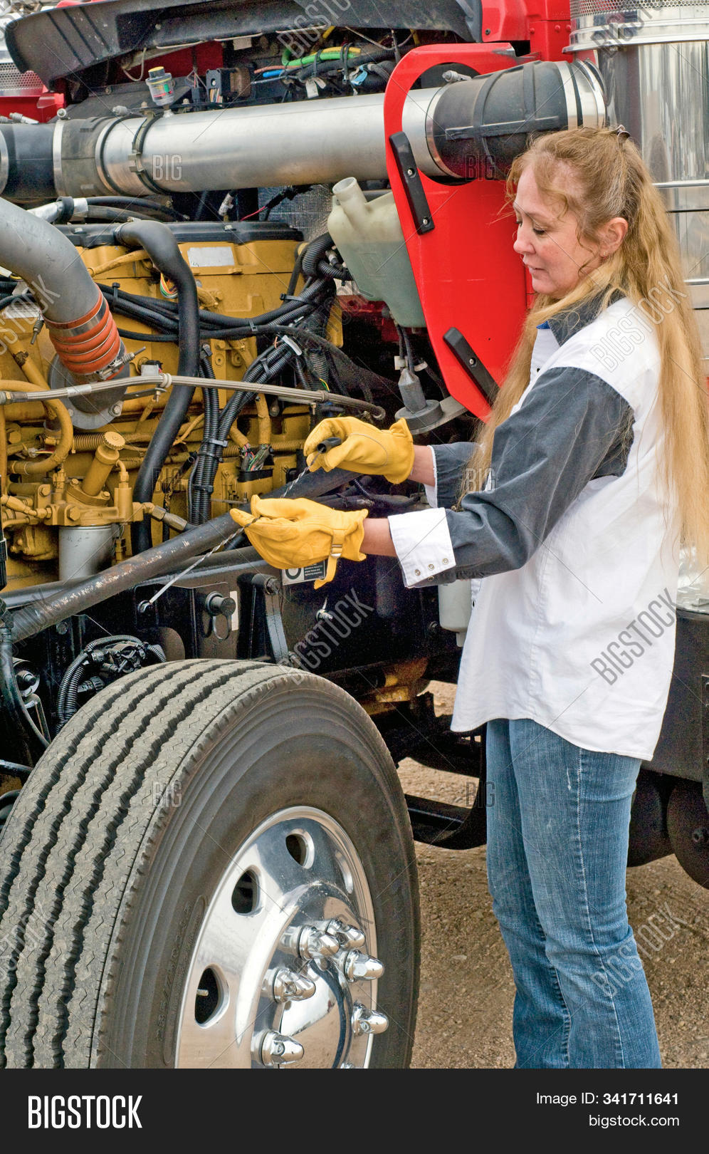 Driver Checking Oil Image & Photo (Free Trial) | Bigstock