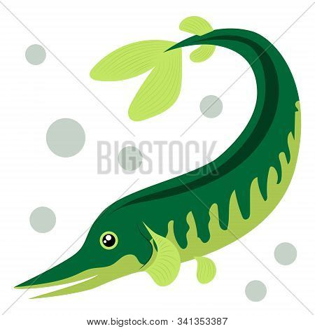 Cartoon Fish. Pike. Vector & Photo (Free Trial) | Bigstock