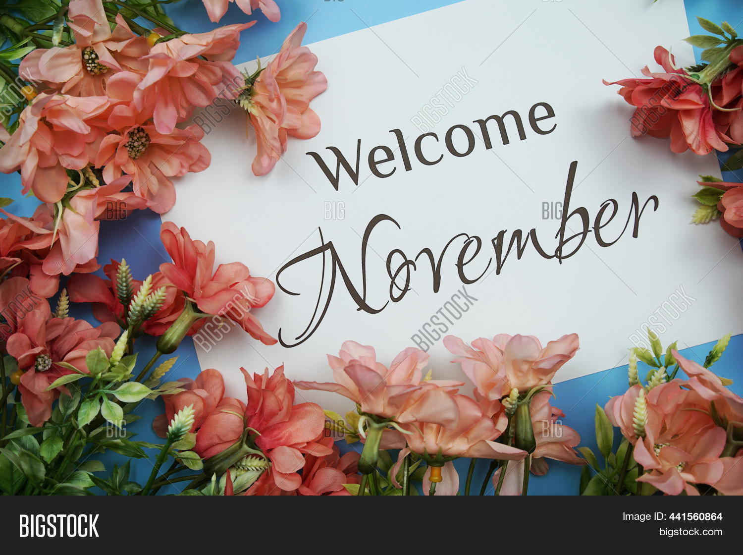Welcome November Text Image & Photo (Free Trial) | Bigstock
