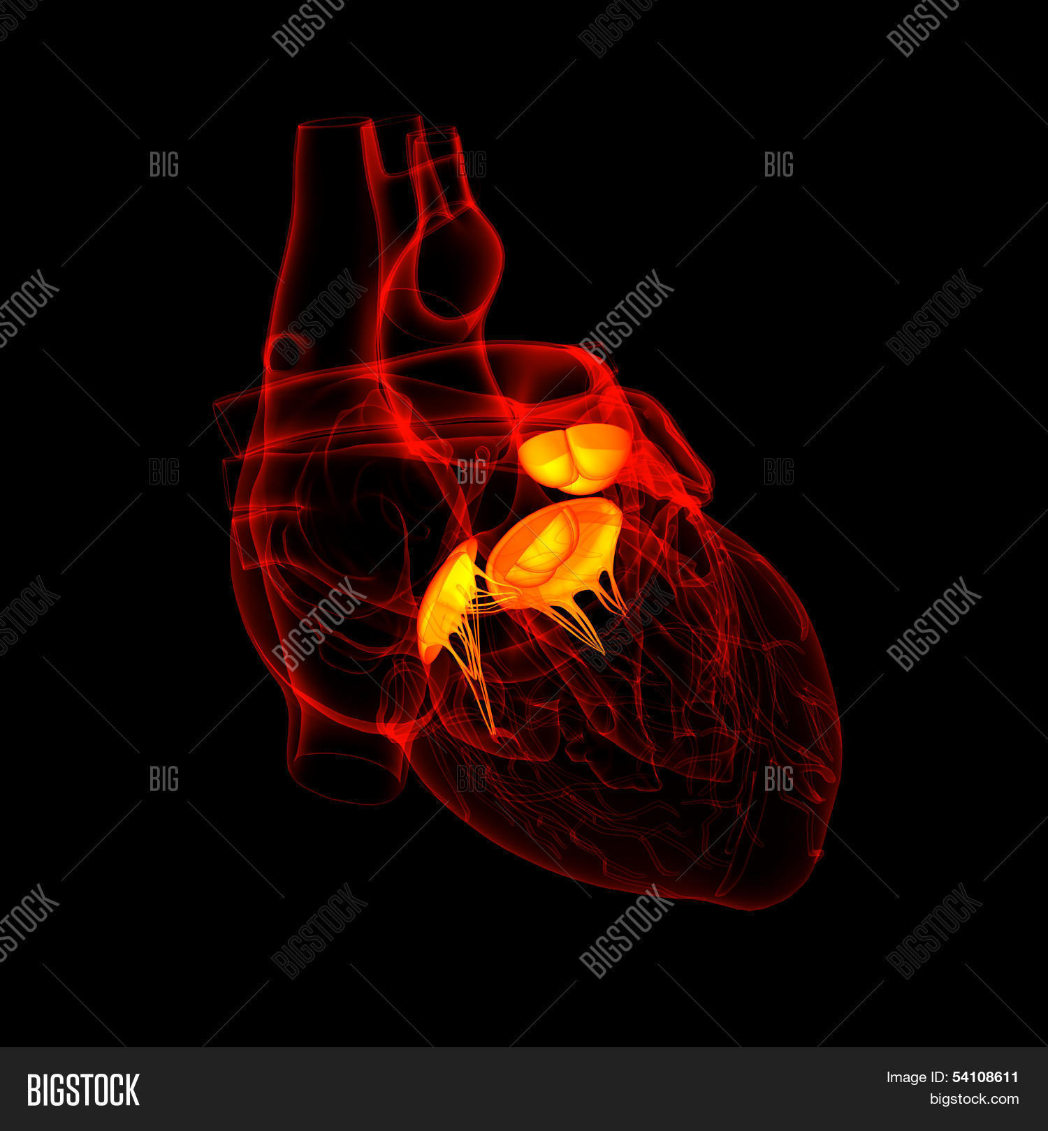 3d Render Heart Valve Image & Photo (Free Trial) | Bigstock