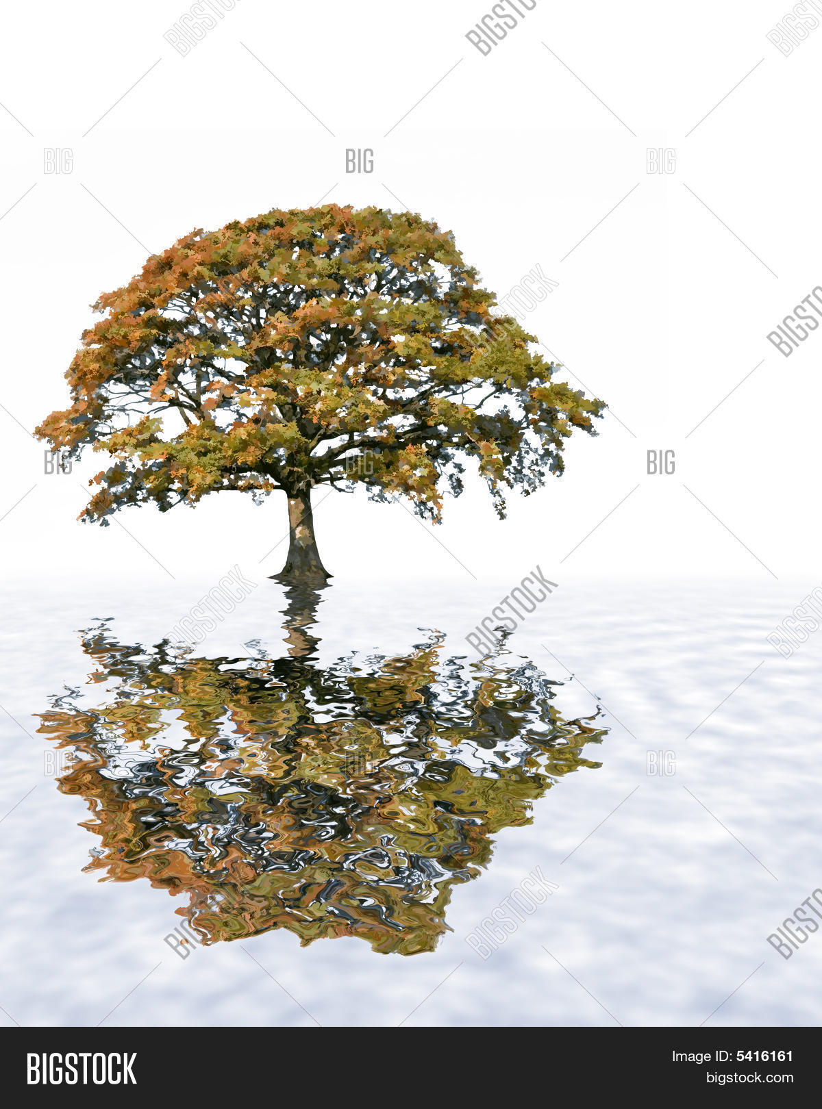 Oak Tree Fall Abstract Image & Photo (Free Trial) | Bigstock