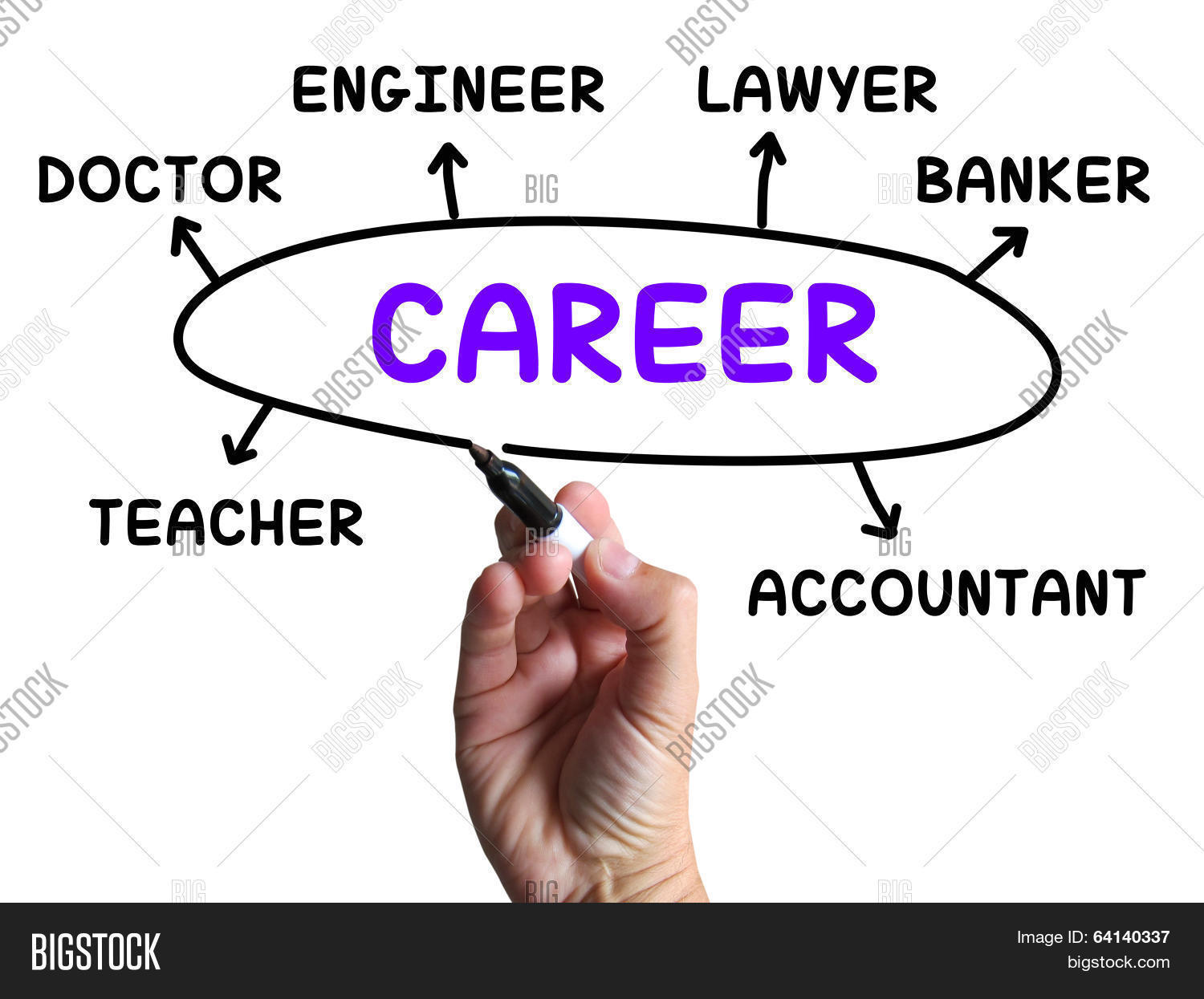 Career Diagram Shows Image & Photo (Free Trial) | Bigstock