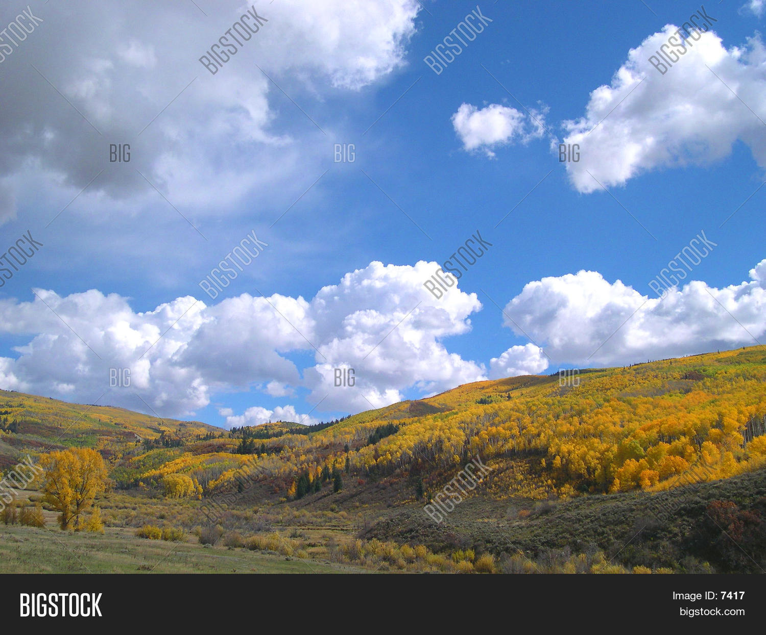 High Color Image & Photo (Free Trial) | Bigstock