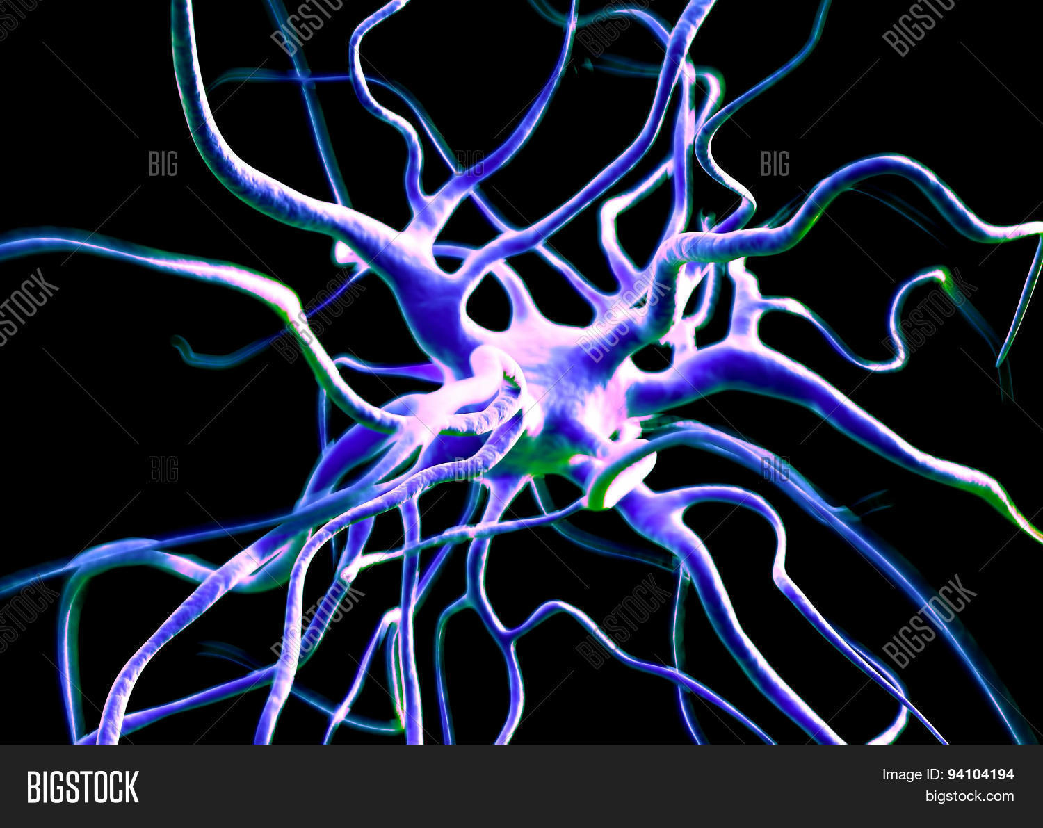 Neuron Nerve Cells Image & Photo (Free Trial) | Bigstock