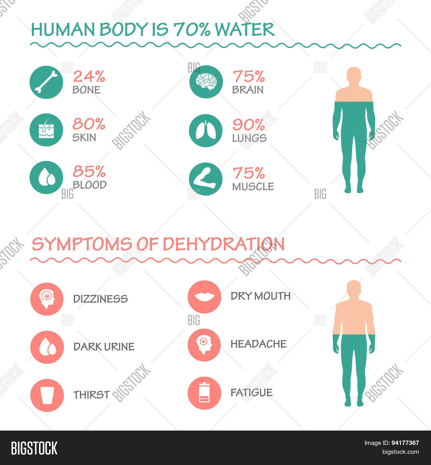 Dehydration Vector & Photo (Free Trial) | Bigstock