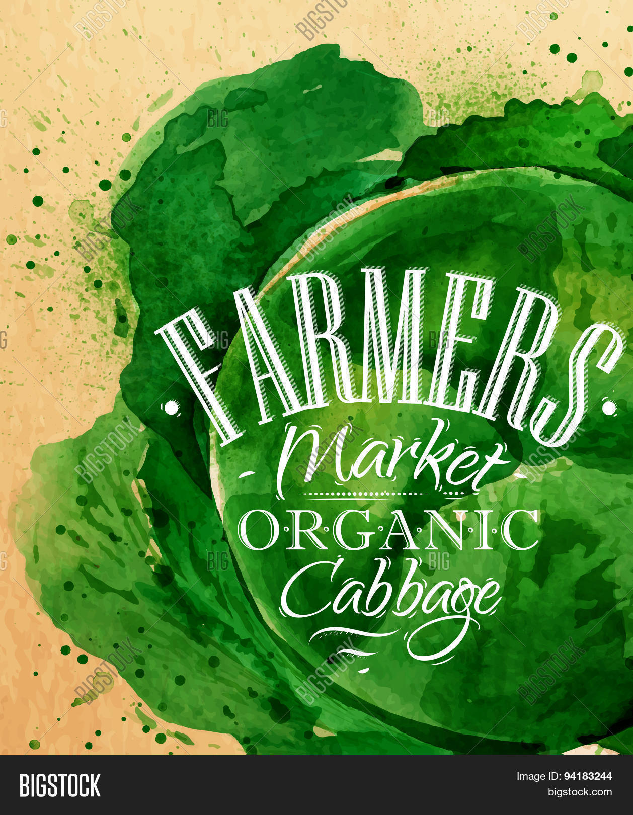 Poster Farm Cabbage Vector & Photo (Free Trial) | Bigstock