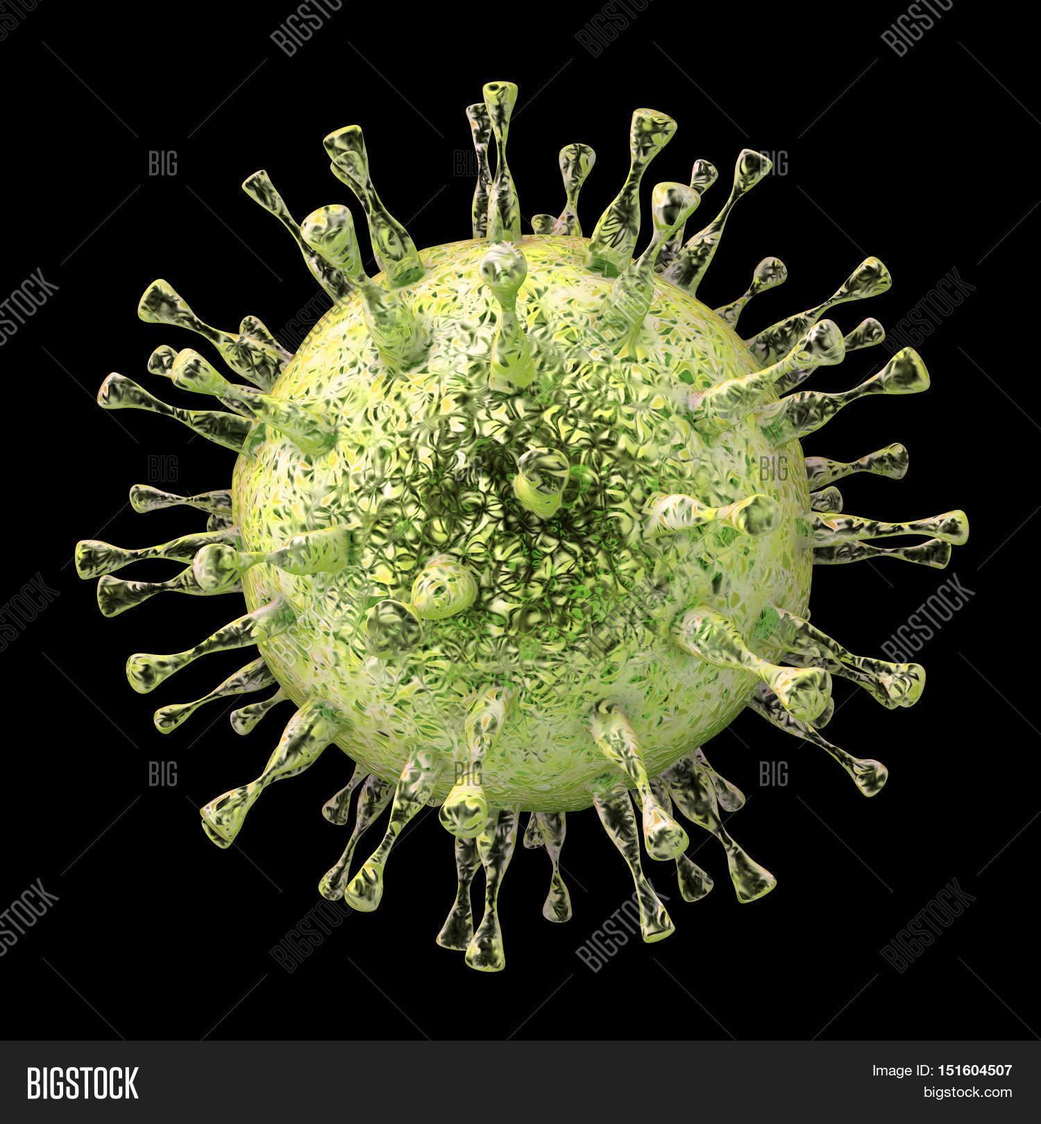 Cytomegalovirus CMV, Image & Photo (Free Trial) | Bigstock