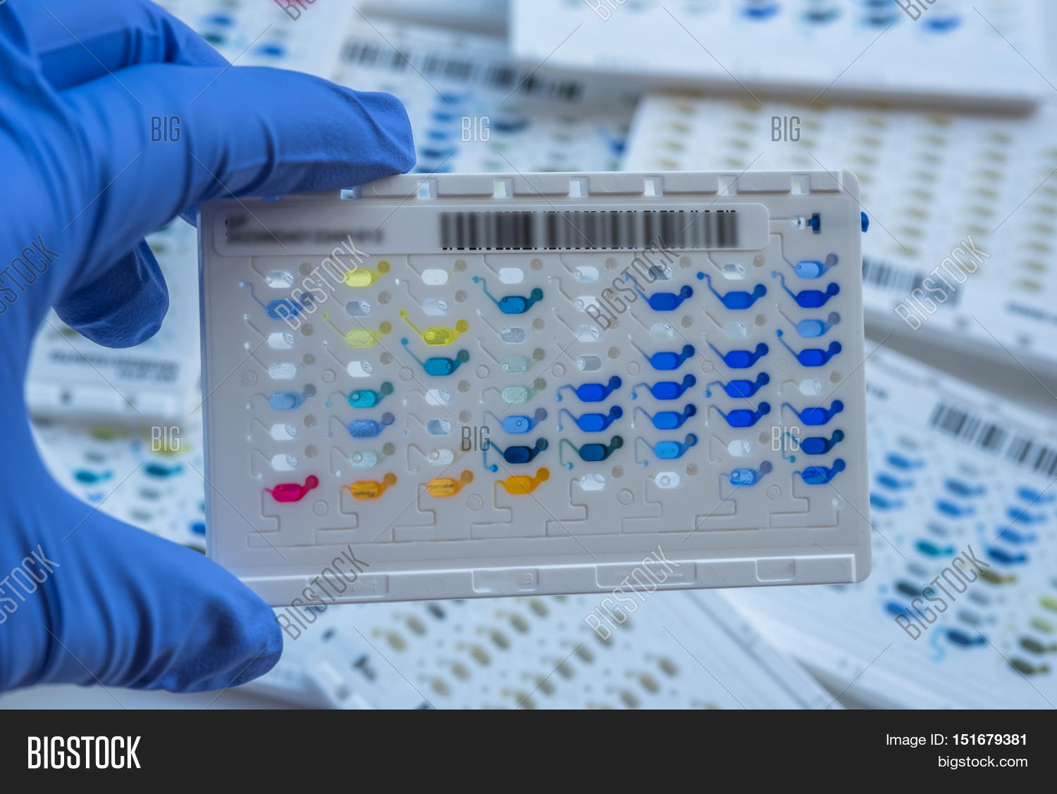 Imagen y foto Reagent Strip (prueba gratis) | Bigstock