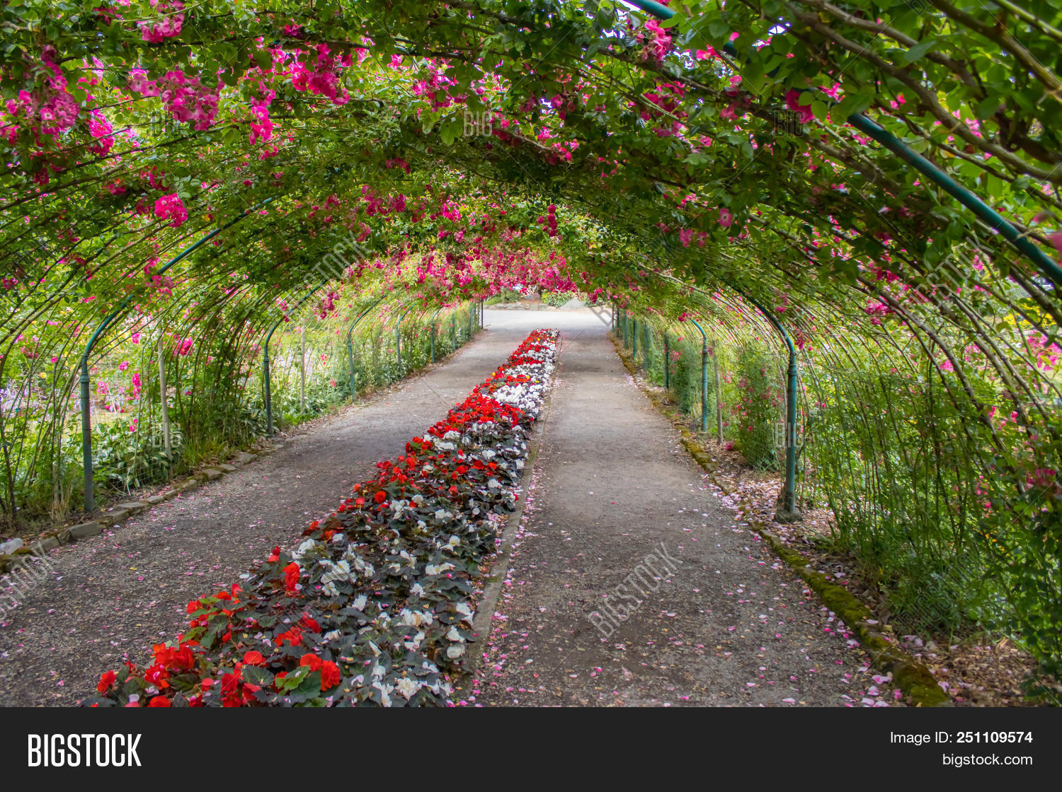 Tunnel Made Climbing Image & Photo (Free Trial) | Bigstock