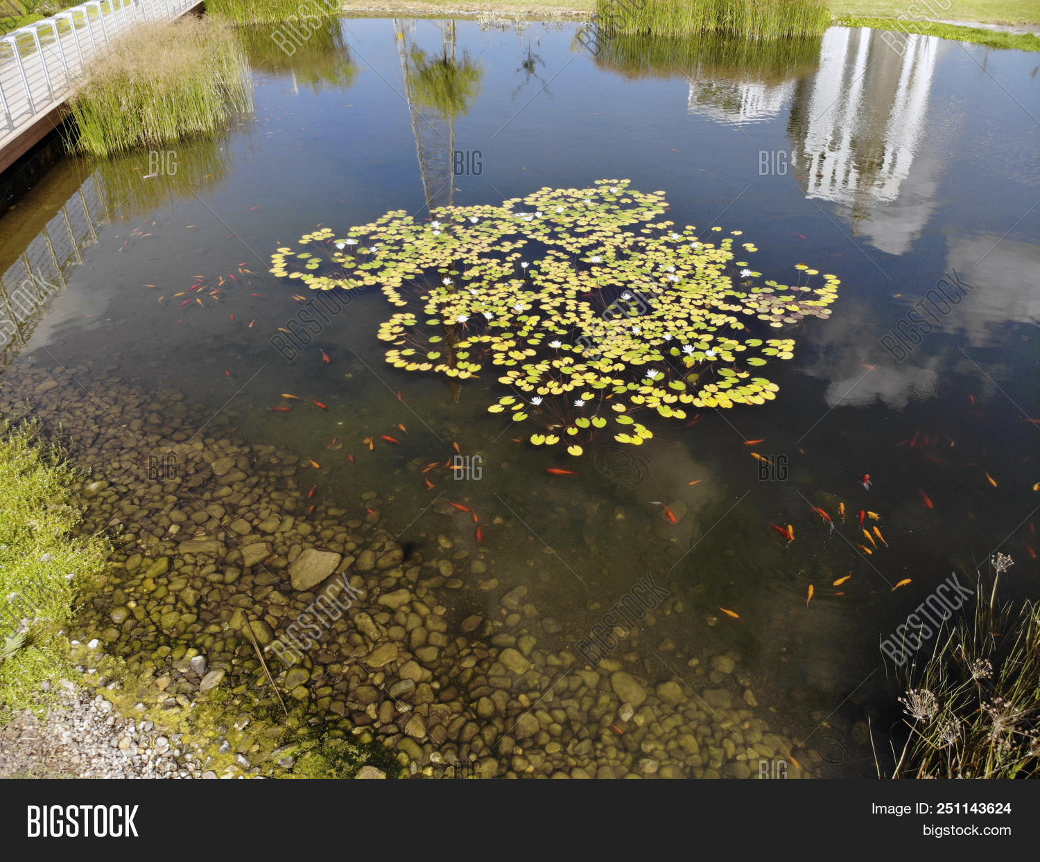 Artificial Pond Image & Photo (Free Trial) | Bigstock