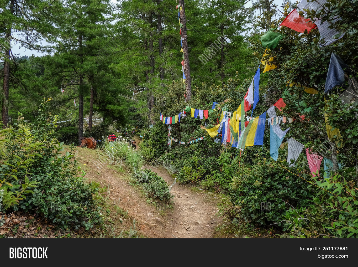 Paro, Bhutan - Sep 3, Image & Photo (Free Trial) | Bigstock