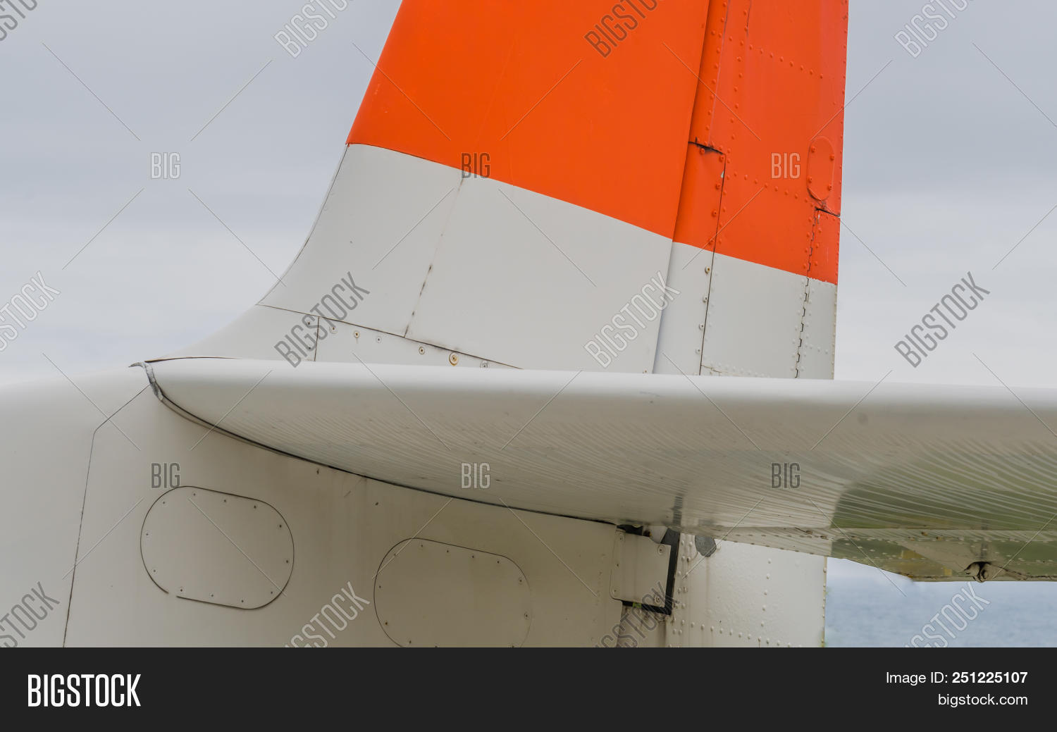 Closeup Tail Section Image & Photo (Free Trial) | Bigstock