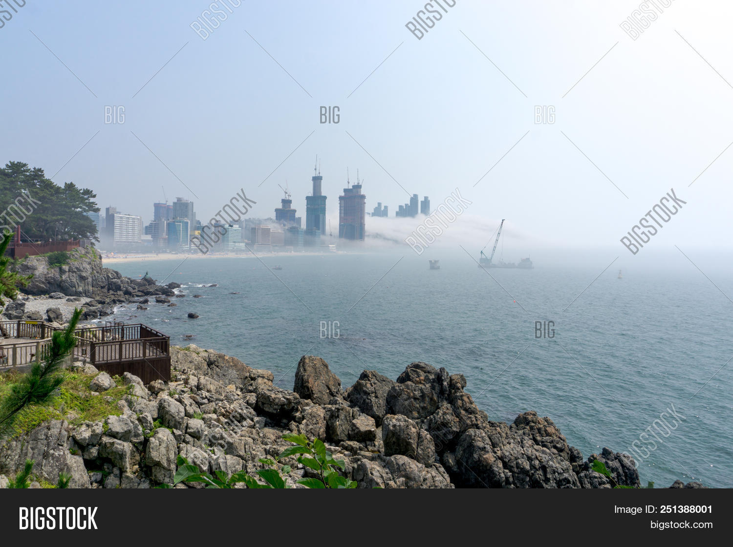 Thick Large Heavy Mist Image & Photo (Free Trial) | Bigstock
