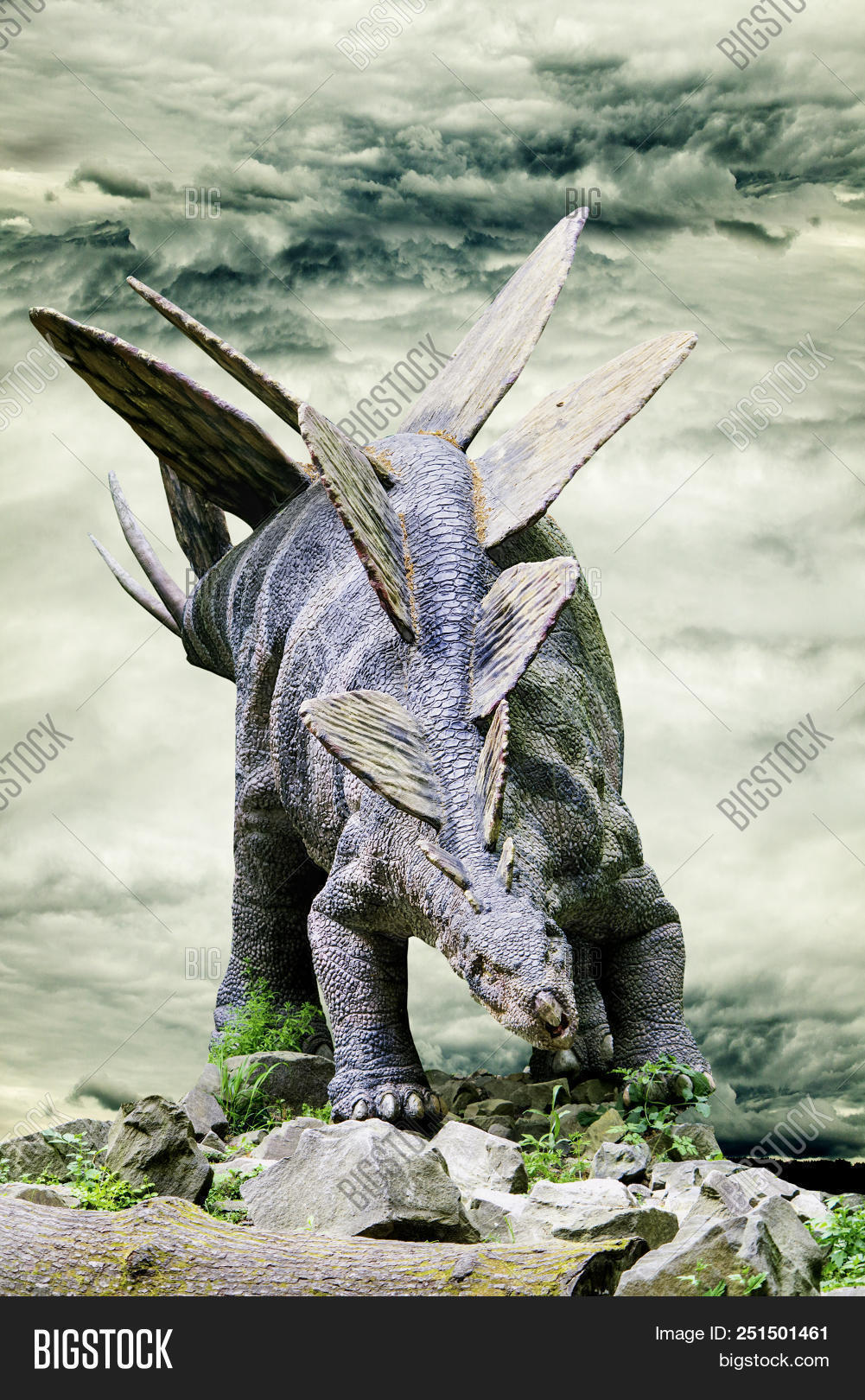 Stegosaurus Standing Image & Photo (Free Trial) | Bigstock
