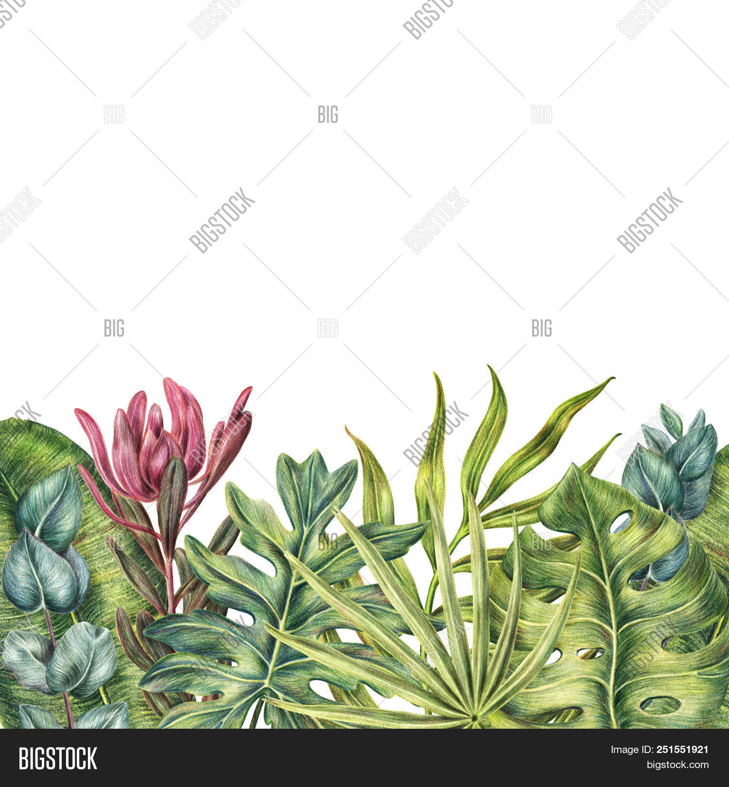 Border, One Side Frame Image & Photo (Free Trial) | Bigstock