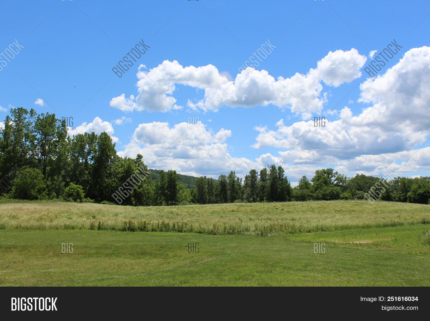 Hill Top View. Tree Image & Photo (Free Trial) | Bigstock
