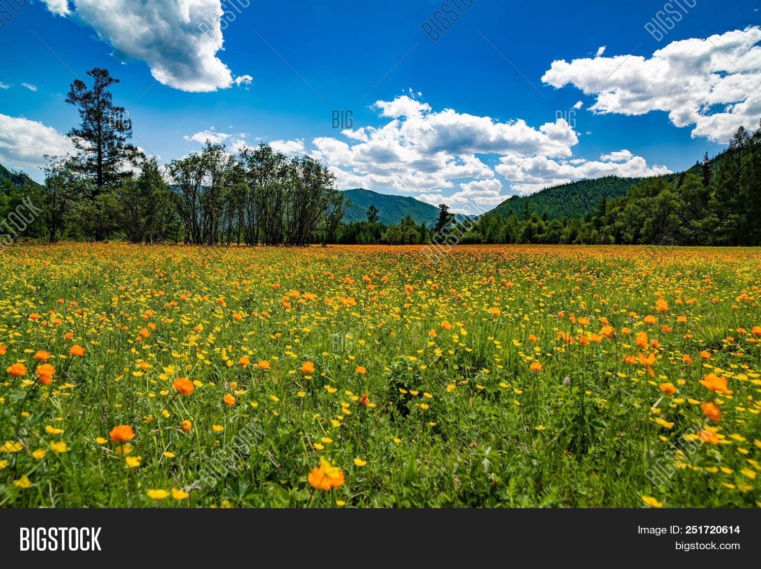 Summer Landscape Image & Photo (Free Trial) | Bigstock