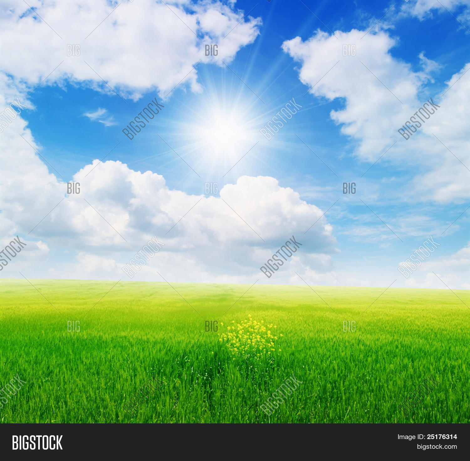 Green Field Sun Sky Image & Photo (Free Trial) | Bigstock
