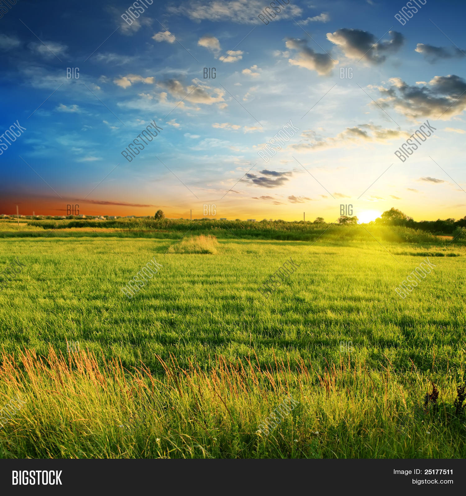 Summer Landscape On Image & Photo (Free Trial) | Bigstock