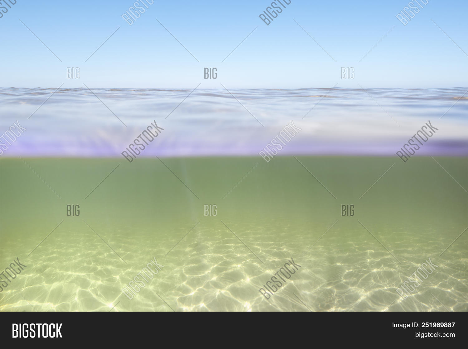 Cross Section Image & Photo (Free Trial) | Bigstock