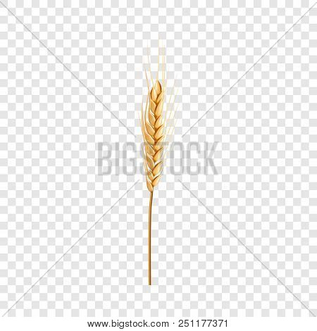 Natural Wheat Icon. Vector & Photo (Free Trial) | Bigstock
