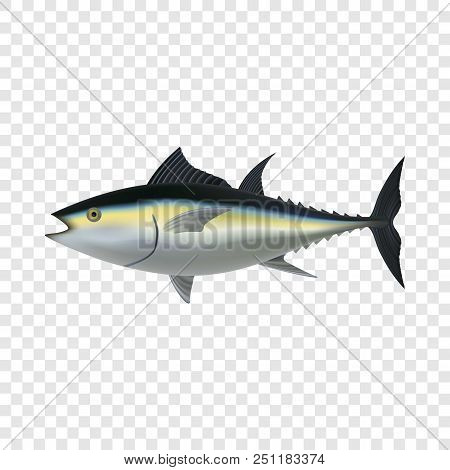 Tuna Fish Mockup. Vector & Photo (Free Trial) | Bigstock