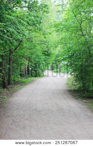 Park Alley Way View Image & Photo (Free Trial) | Bigstock