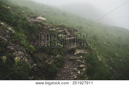 Scary Hiking Path Fog Image & Photo (Free Trial) | Bigstock