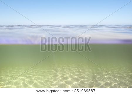 Cross Section Image & Photo (Free Trial) | Bigstock