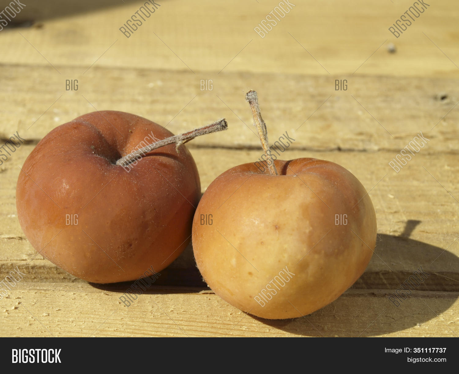 Two Rotten Apples On Image & Photo (Free Trial) | Bigstock