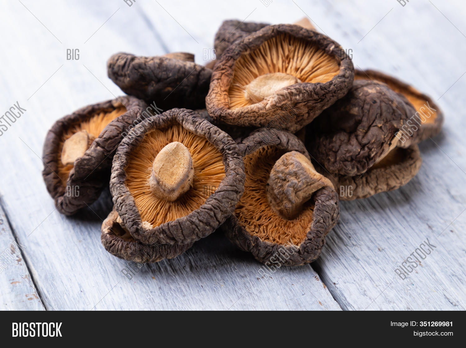 Dehydrated Shiitake Image & Photo (Free Trial) | Bigstock