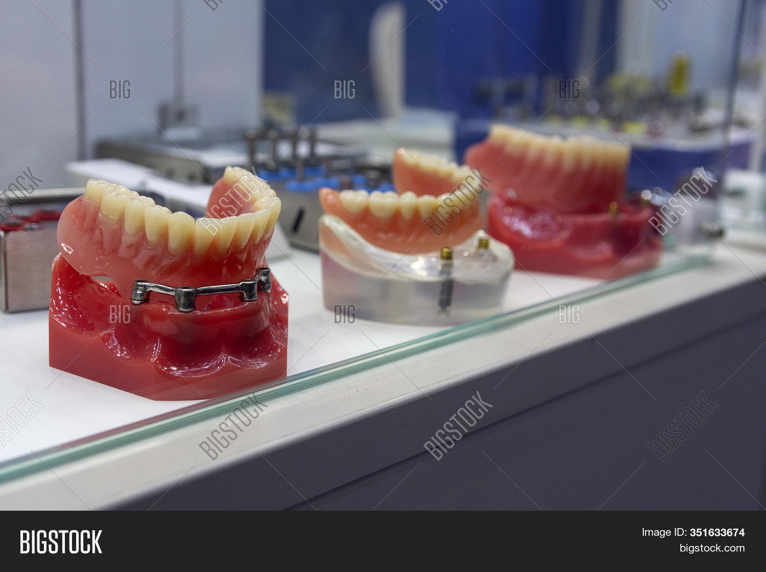 Dental Model Human Image & Photo (Free Trial) | Bigstock