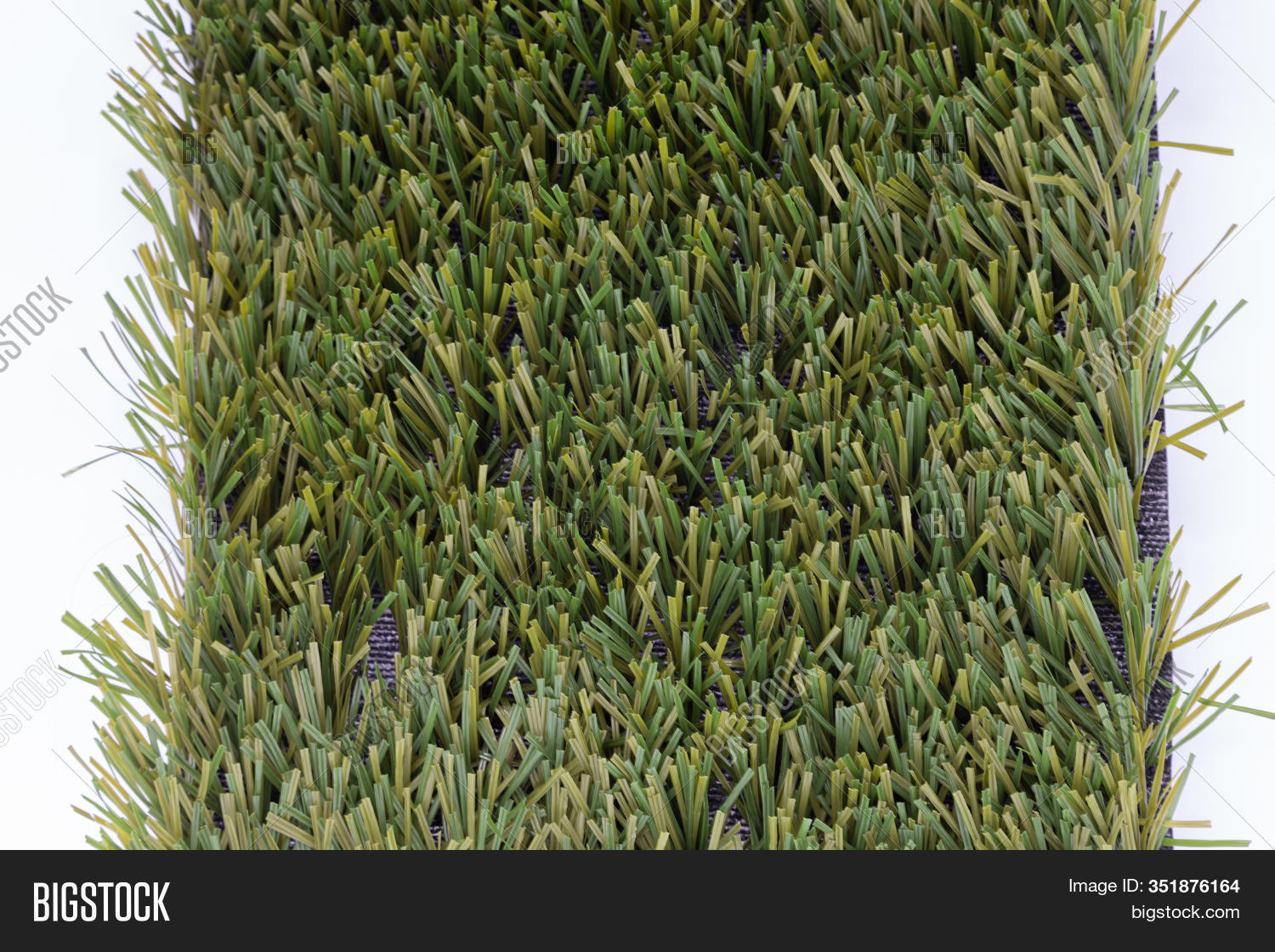Piece Grass Isolated Image & Photo (Free Trial) | Bigstock