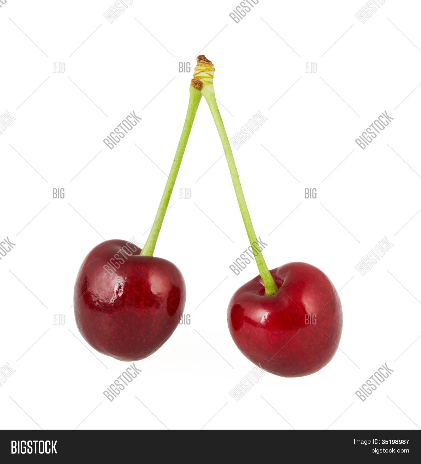 Cherries Isolated On Image & Photo (Free Trial) | Bigstock