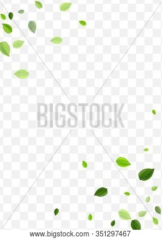 Swamp Leaf Vector Vector & Photo (Free Trial) | Bigstock