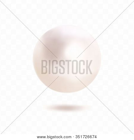 Single Pearl Isolated Vector & Photo (Free Trial) | Bigstock
