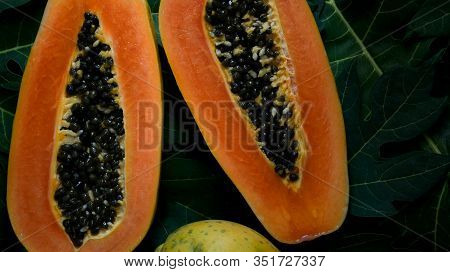 Papaya Images, Illustrations & Vectors (Free) - Bigstock