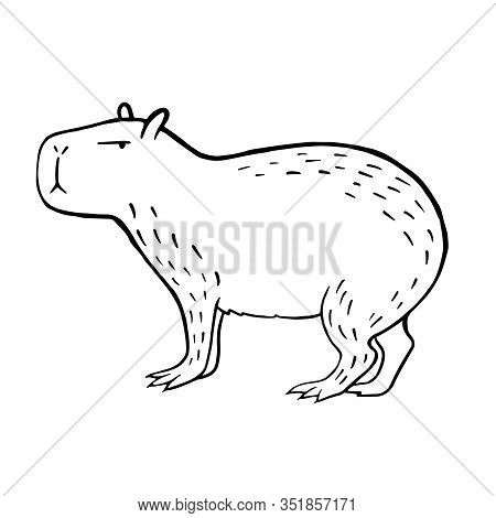 Capybara. Vector Vector & Photo (Free Trial) | Bigstock
