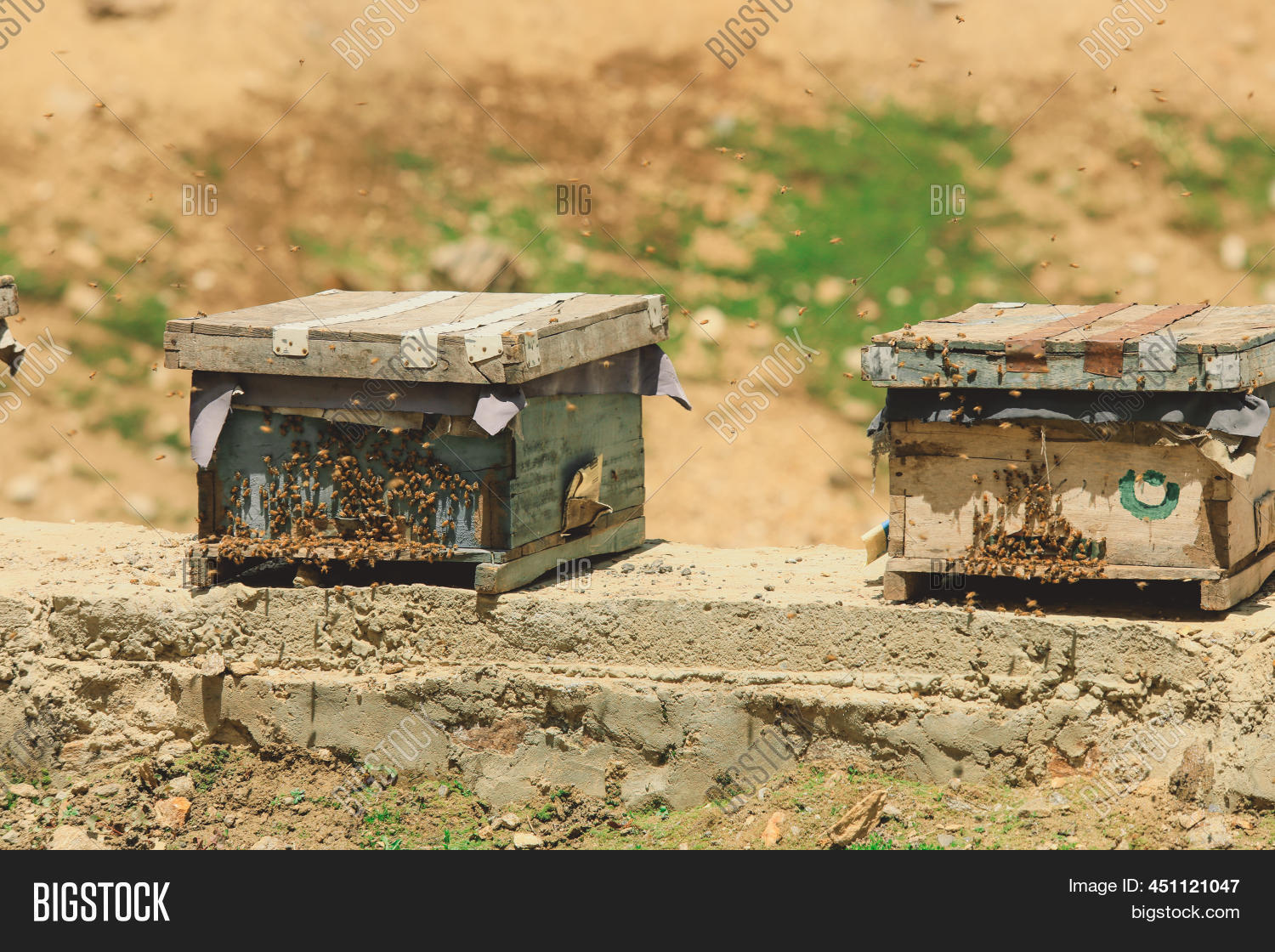 Wooden Bee Houses Image & Photo (Free Trial) | Bigstock