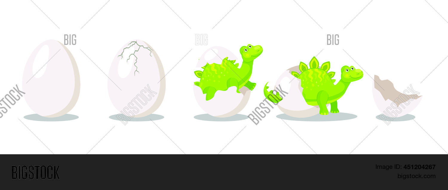Stages Hatching Vector & Photo (Free Trial) | Bigstock