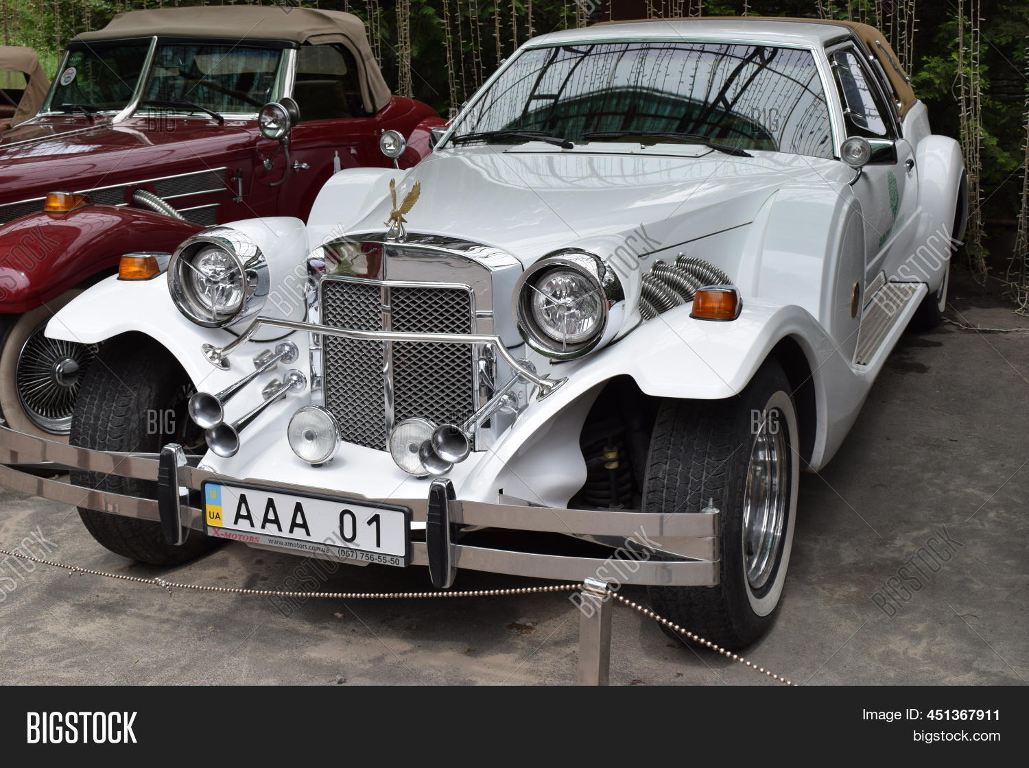 Mercedes - Gazelle Image & Photo (Free Trial) | Bigstock